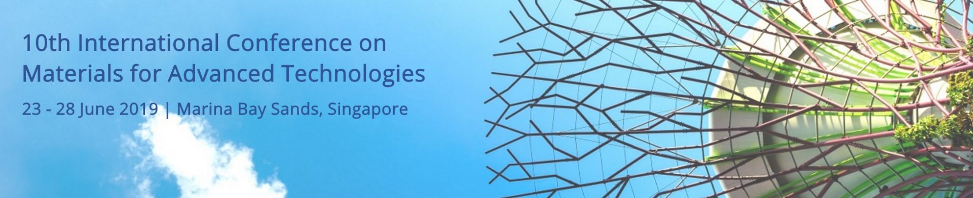 ICMAT 2019 – 10th International Conference on Materials for Advanced Technologies – 2D Health