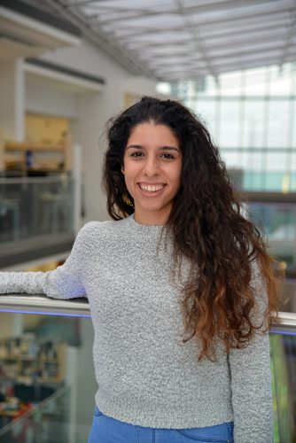 Theme III: 2D Sheets for Cancer Immunotherapy – 2D Health